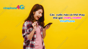 Gói cước nào có thể thay thế gói VD89, VD89P VinaPhone?