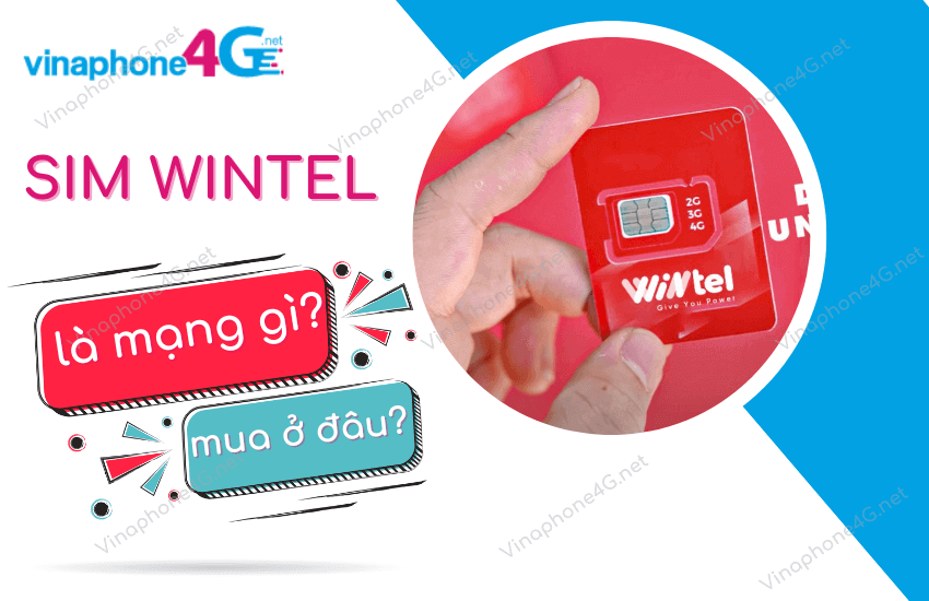Sim Wintel là mạng gì? Tại sao được lựa chọn sử dụng nhiều?