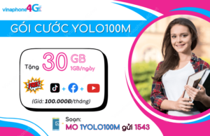 Cách đăng ký gói YOLO 100M VinaPhone nhận "siêu" ưu đãi